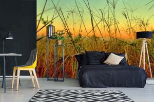 Fototapetă din vlies autocolantă sală de dans și restaurant 375 x 250 ...