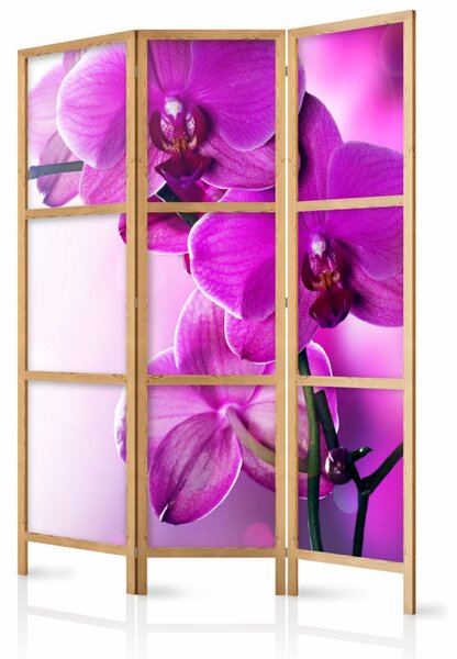 Paravan japonez - Violet Orchids I | FAVI.ro