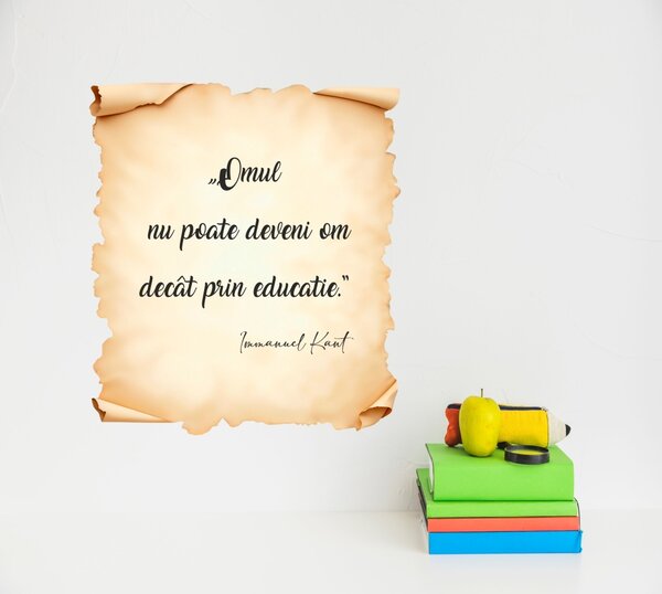 Sticker Educativ - Omul si educatia | FAVI.ro