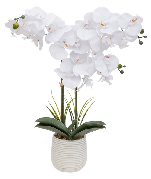 Orhidee artificiala in ghiveci RIVA, 60 cm | FAVI.ro