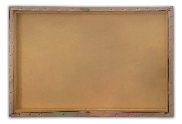 Tablou 529TCR1749, multicolor, panza, 50x70 cm | FAVI.ro