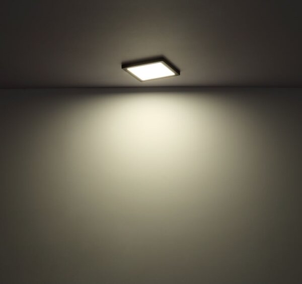 Plafonieră LED LASSE LED/18W/230V 3000/4000/6500K albă Globo 12380-18W | FAVI.ro