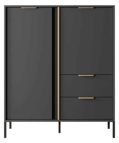 Comodă înaltă cu 2 uși și 2 sertare Lars, antracit/auriu | FAVI.ro
