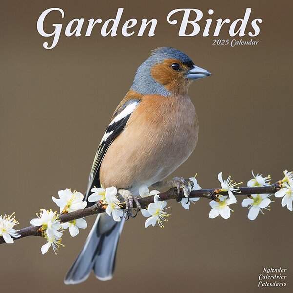 Calendar 2025 Garden Birds | FAVI.ro