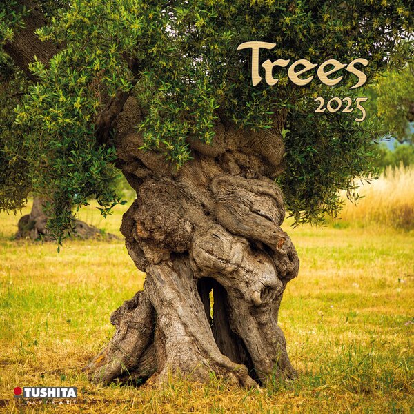 Calendar 2025 Trees | FAVI.ro