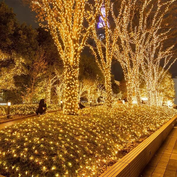 Instalatie LED cu franjuri lungi 1 M, Lungime 25 M, 500 LED, Alb Cald ...